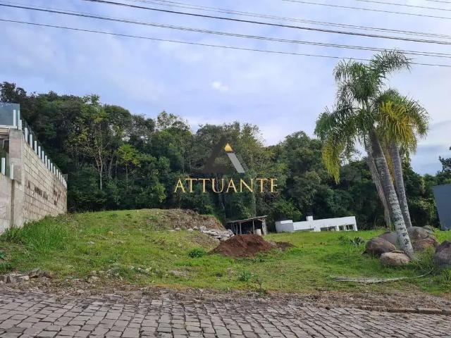 Terreno / Lote para Venda em Caxias do Sul/RS Linha 40