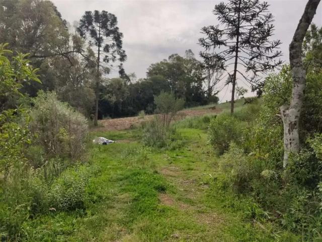 Terreno / Lote para Venda em Caxias do Sul/RS Linha 40