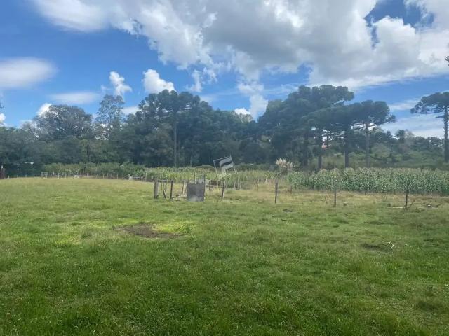 Terreno / Lote para Venda em Caxias do Sul/RS Linha 40
