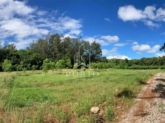 Terreno / Lote para Venda em Caxias do Sul/RS Linha 40