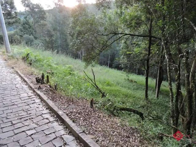 Terreno / Lote para Venda em Caxias do Sul/RS Linha 40
