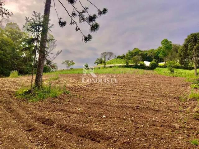 Terreno / Lote para Venda em Caxias do Sul/RS Linha 40
