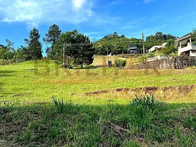 Terreno / Lote para Venda em Caxias do Sul/RS Linha 40