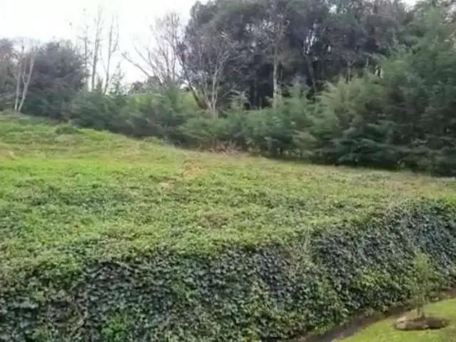 Terreno / Lote para Venda em Caxias do Sul/RS Linha 40