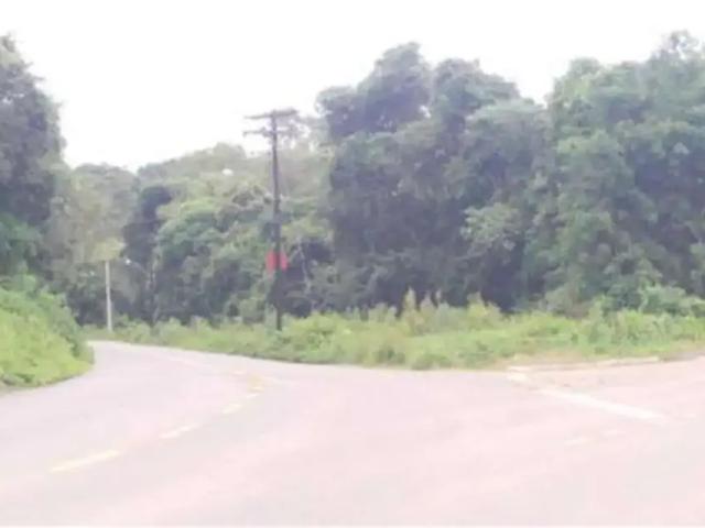 Terreno / Lote para Venda em Caxias do Sul/RS Linha Feijó