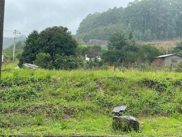 Terreno / Lote para Venda em Caxias do Sul/RS Monte Bérico