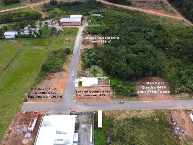 Terreno / Lote para Venda em Caxias do Sul/RS Monte Bérico