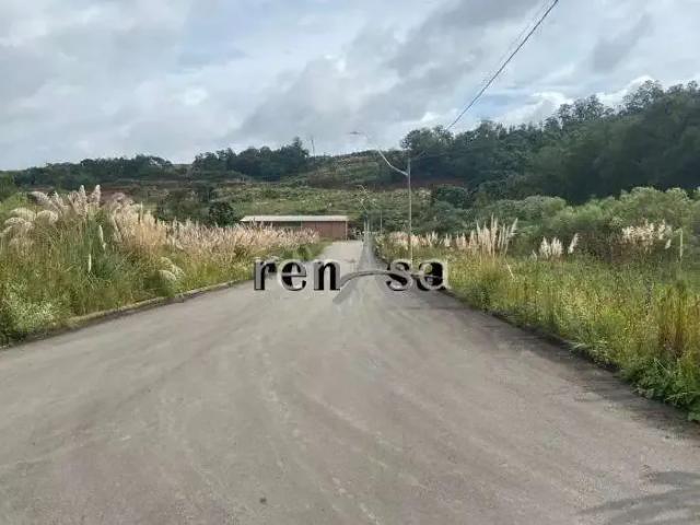 Terreno / Lote para Venda em Caxias do Sul/RS Monte Bérico