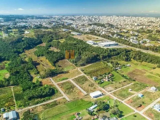Terreno / Lote para Venda em Caxias do Sul/RS Monte Bérico