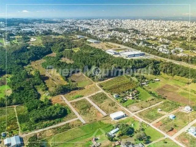 Terreno / Lote para Venda em Caxias do Sul/RS Monte Bérico