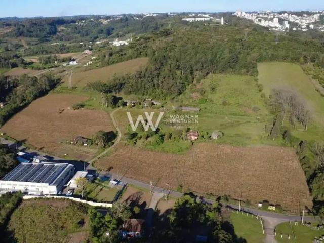 Terreno / Lote para Venda em Caxias do Sul/RS Monte Bérico