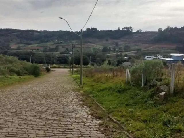 Terreno / Lote para Venda em Caxias do Sul/RS Monte Bérico