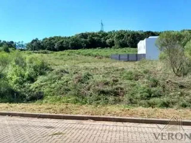 Terreno / Lote para Venda em Caxias do Sul/RS Monte Bérico