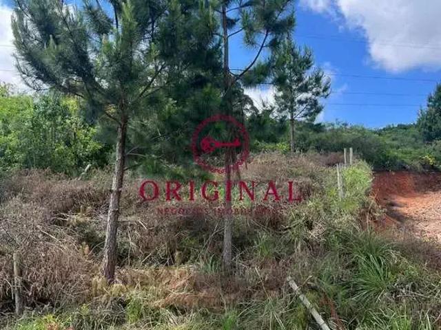 Terreno / Lote para Venda em Caxias do Sul/RS Monte Bérico