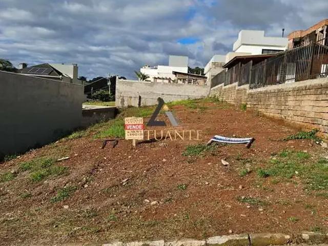 Terreno / Lote para Venda em Caxias do Sul/RS Monte Bérico