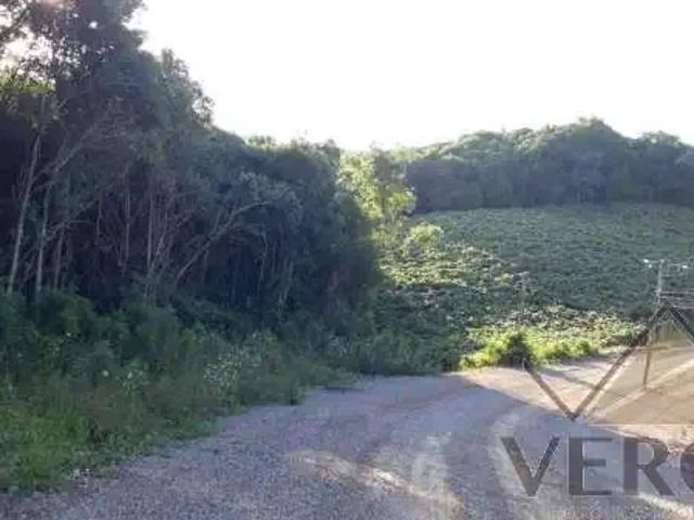 Terreno / Lote para Venda em Caxias do Sul/RS Monte Bérico