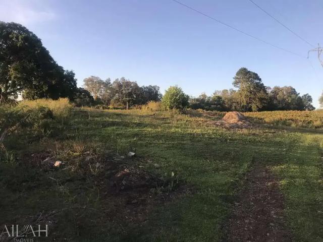 Terreno / Lote para Venda em Caxias do Sul/RS Monte Bérico