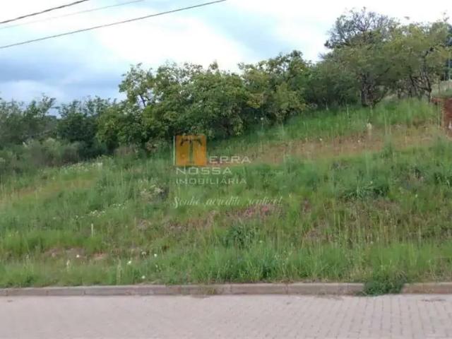 Terreno / Lote para Venda em Caxias do Sul/RS Monte Bérico