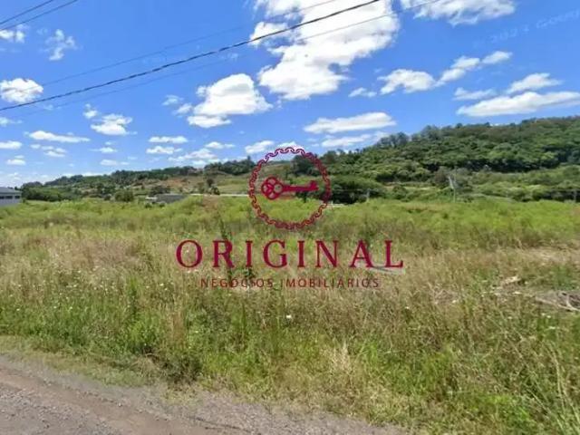 Terreno / Lote para Venda em Caxias do Sul/RS Monte Bérico