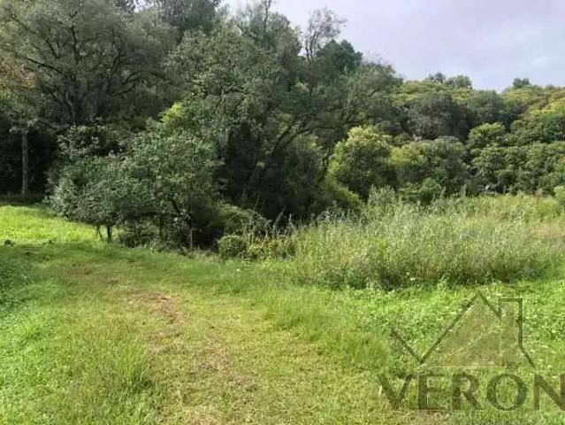 Terreno / Lote para Venda em Caxias do Sul/RS Monte Bérico