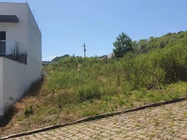 Terreno / Lote para Venda em Caxias do Sul/RS Monte Bérico