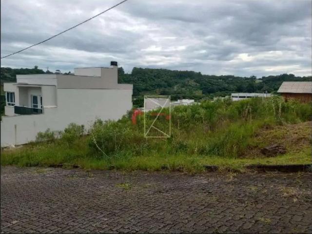 Terreno / Lote para Venda em Caxias do Sul/RS Monte Bérico