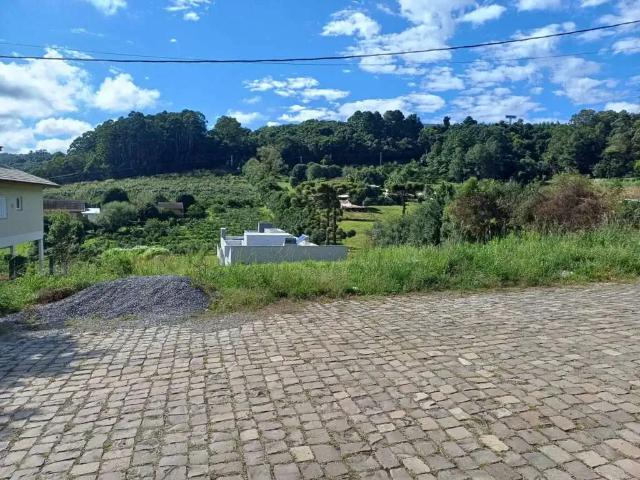 Terreno / Lote para Venda em Caxias do Sul/RS Monte Bérico