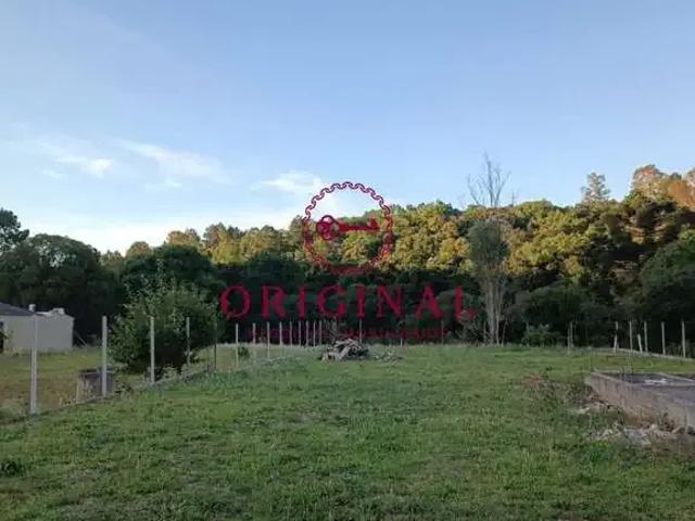 Terreno / Lote para Venda em Caxias do Sul/RS Monte Bérico