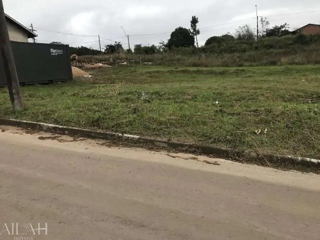 Terreno / Lote para Venda em Caxias do Sul/RS Monte Bérico