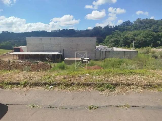 Terreno / Lote para Venda em Caxias do Sul/RS Monte Bérico