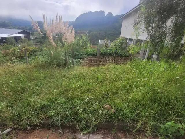 Terreno / Lote para Venda em Caxias do Sul/RS Monte Bérico