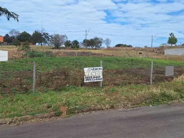 Terreno / Lote para Venda em Caxias do Sul/RS Monte Bérico