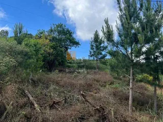 Terreno / Lote para Venda em Caxias do Sul/RS Monte Bérico