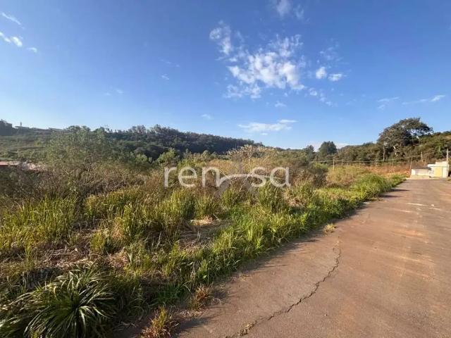 Terreno / Lote para Venda em Caxias do Sul/RS Monte Bérico