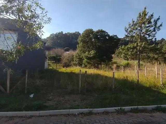 Terreno / Lote para Venda em Caxias do Sul/RS Monte Bérico