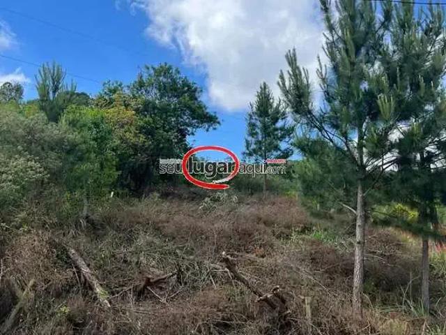 Terreno / Lote para Venda em Caxias do Sul/RS Monte Bérico