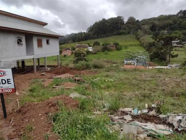 Terreno / Lote para Venda em Caxias do Sul/RS Monte Bérico