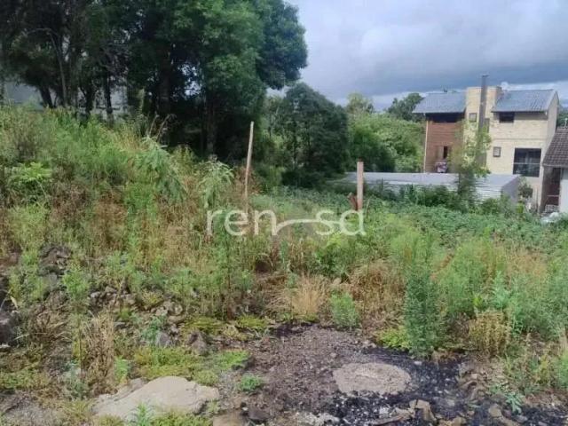 Terreno / Lote para Venda em Caxias do Sul/RS Morada dos Alpes