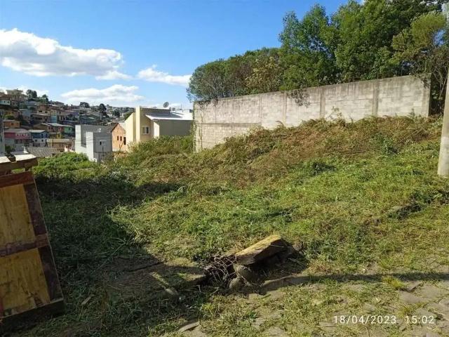 Terreno / Lote para Venda em Caxias do Sul/RS Morada dos Alpes