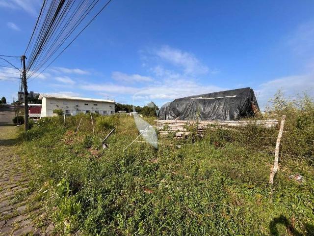 Terreno / Lote para Venda em Caxias do Sul/RS Morada dos Alpes