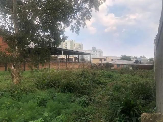 Terreno / Lote para Venda em Caxias do Sul/RS Morada dos Alpes