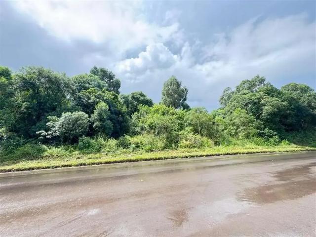 Terreno / Lote para Venda em Caxias do Sul/RS Maestra