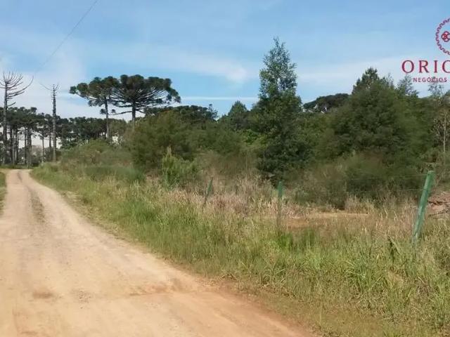 Terreno / Lote para Venda em Caxias do Sul/RS Maestra