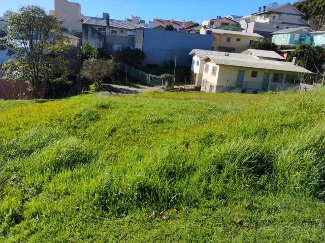 Terreno / Lote para Venda em Caxias do Sul/RS Marechal Floriano