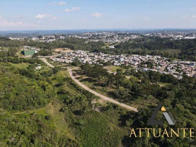 Terreno / Lote para Venda em Caxias do Sul/RS Mariland