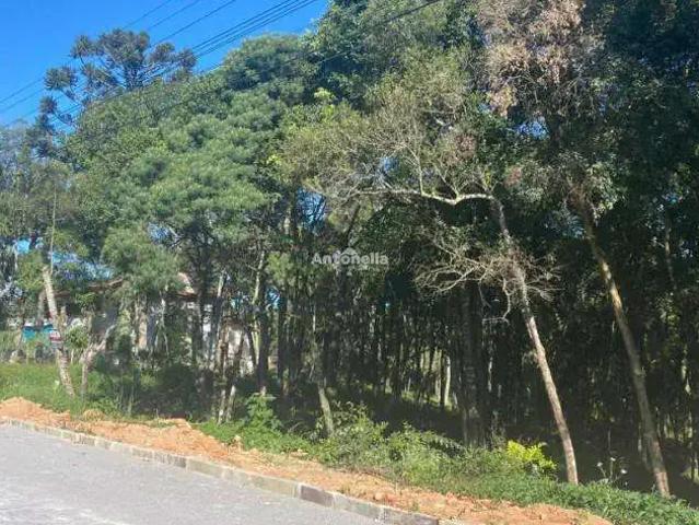 Terreno / Lote para Venda em Caxias do Sul/RS Mariland