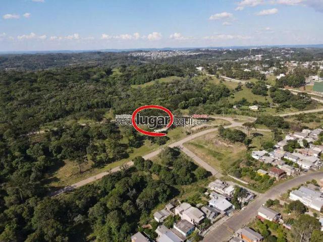 Terreno / Lote para Venda em Caxias do Sul/RS Mariland