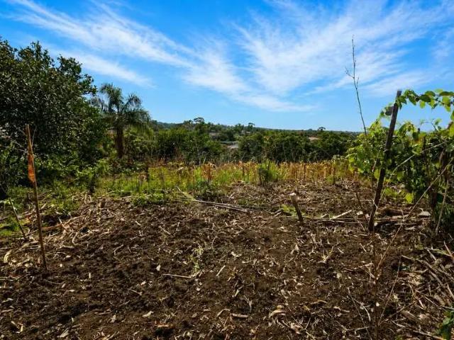Terreno / Lote para Venda em Caxias do Sul/RS Medianeira