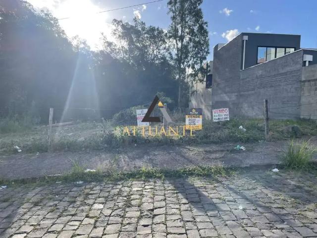 Terreno / Lote para Venda em Caxias do Sul/RS Nossa Senhora da Conceição