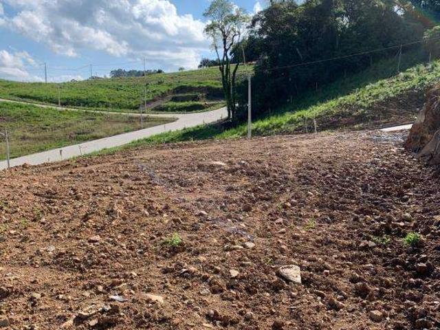 Terreno / Lote para Venda em Caxias do Sul/RS Nossa Senhora da Conceição
